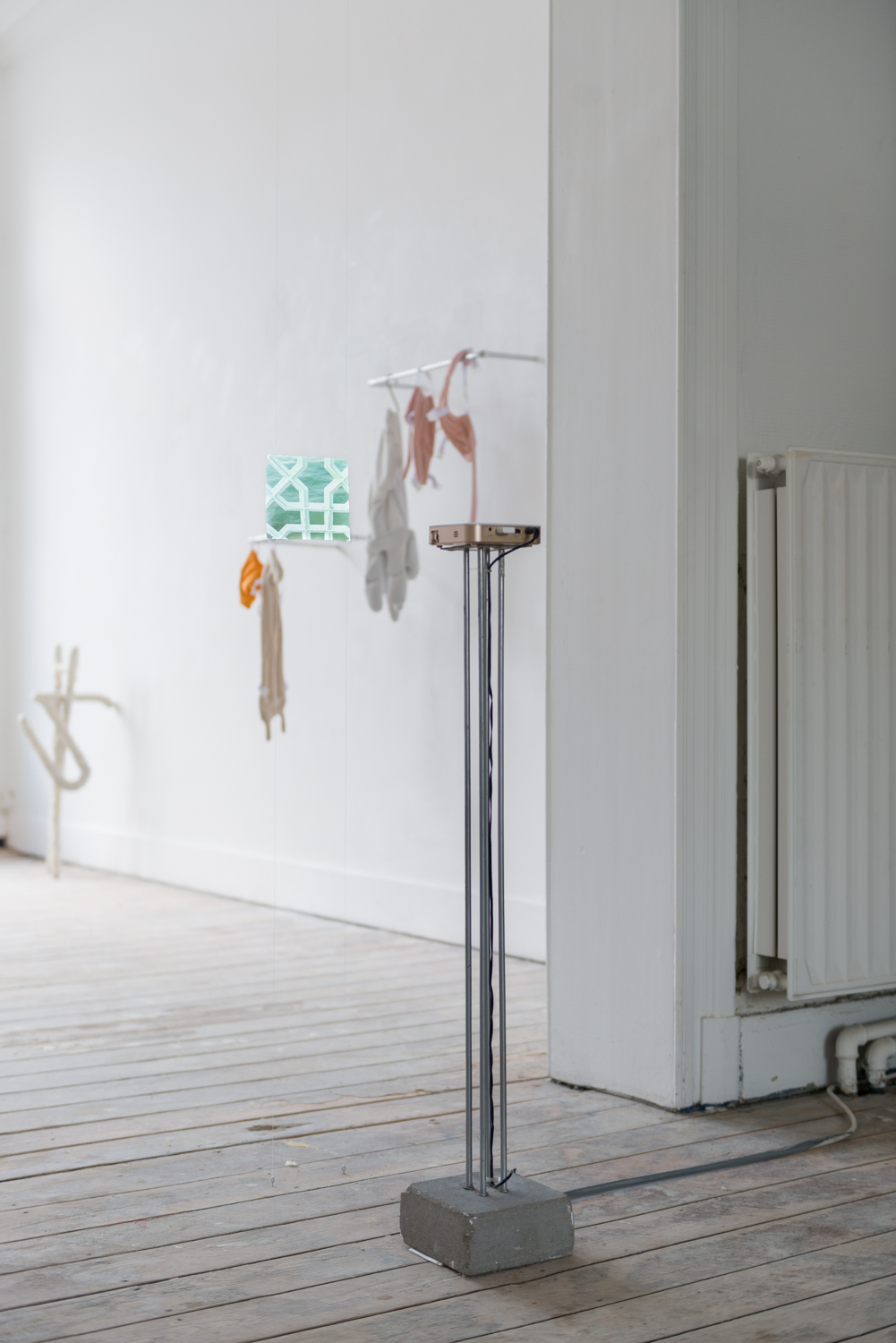 Marion ° Guillard — legumes shop suey